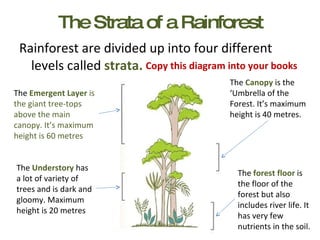 L6 Amazon Powerpoint | PPT