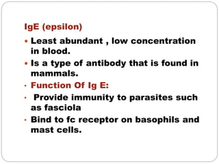 L6 Antibody ppt immuno biology structure function types | PPT