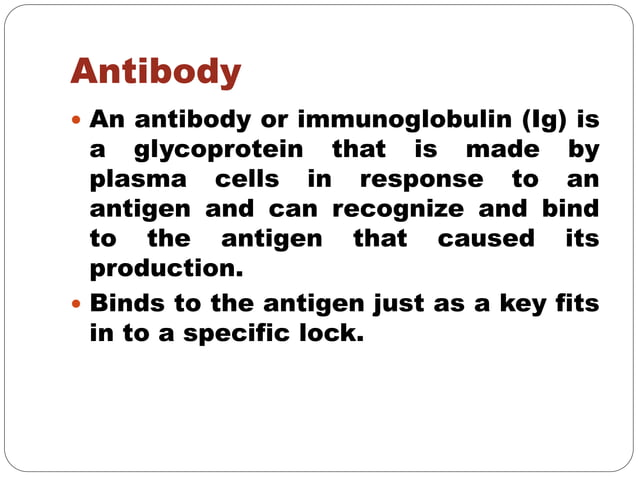 L6 Antibody ppt immuno biology structure function types | PPT