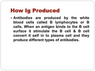 L6 Antibody ppt immuno biology structure function types | PPT