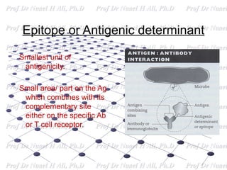 Antigen and antigenic determinantsAntigen and antigenic determinants | PPT