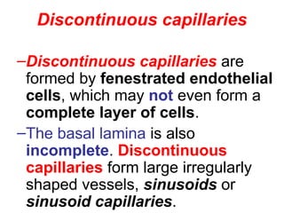 Discontinuous Capillaries