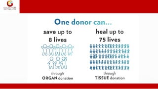 Ethics in organ transplantation | PDF