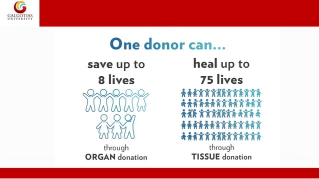 Ethics in organ transplantation | PDF