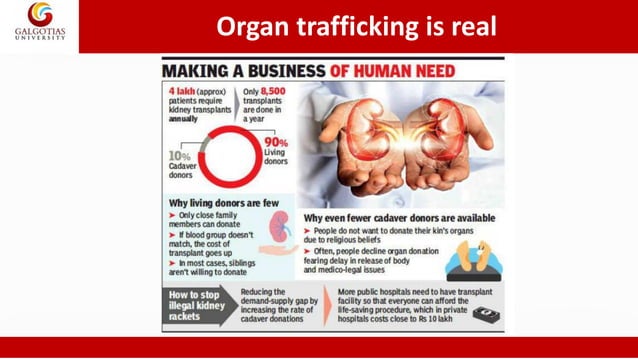 Ethics in organ transplantation | PDF