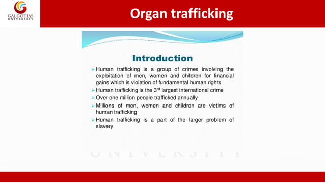 Ethics in organ transplantation | PDF