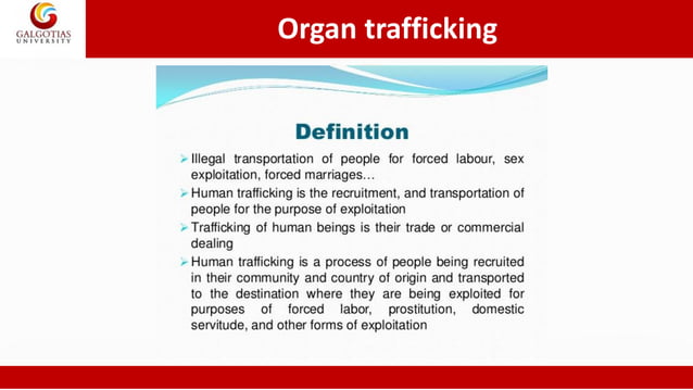 Ethics in organ transplantation | PDF