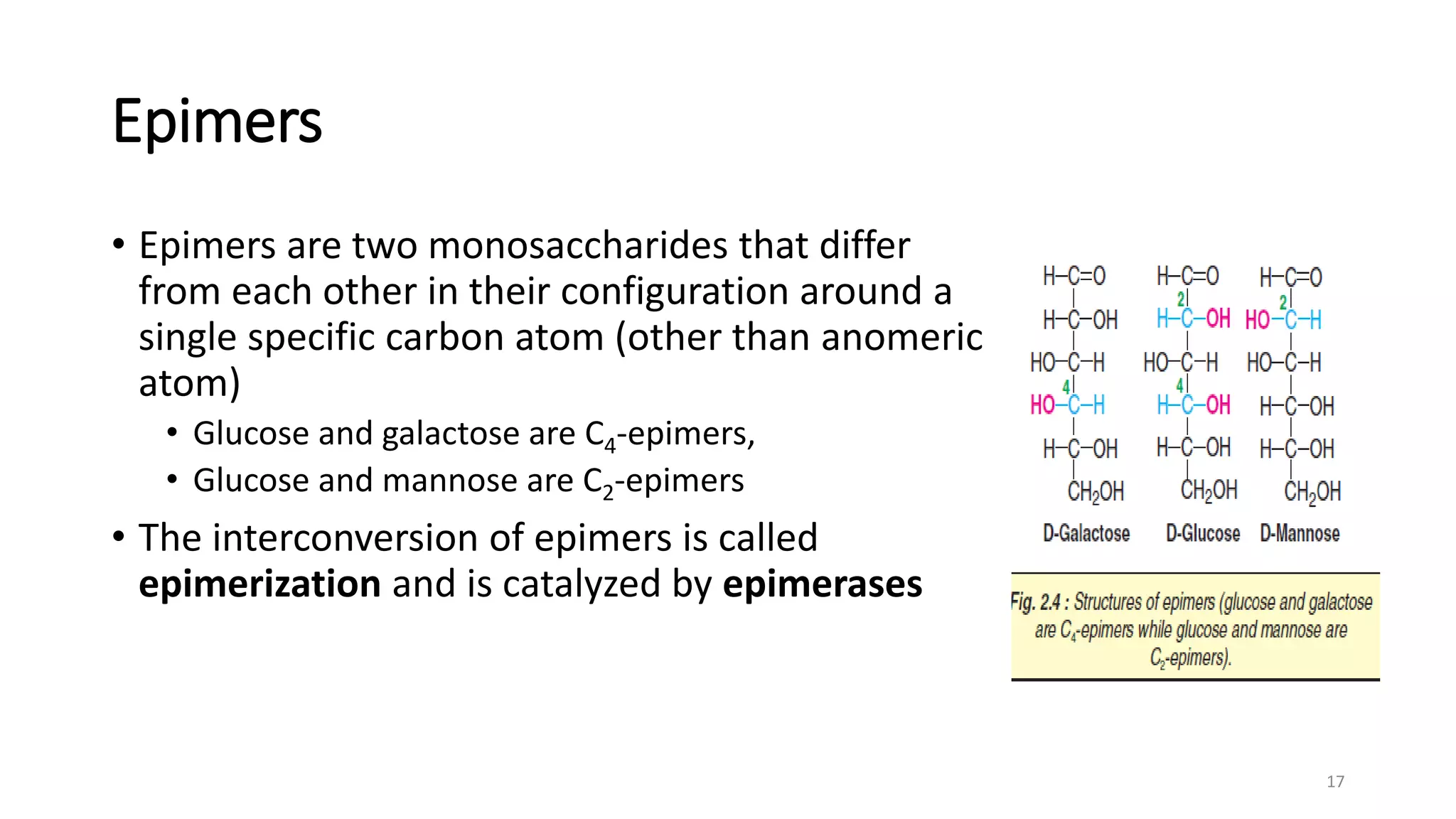 L6 Carbohydrates.pptx