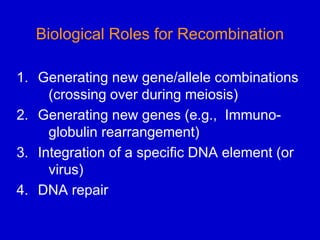 L6_DNARecom1.ppt
