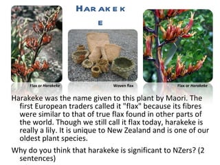 L6 Flora and Fauna | PPT
