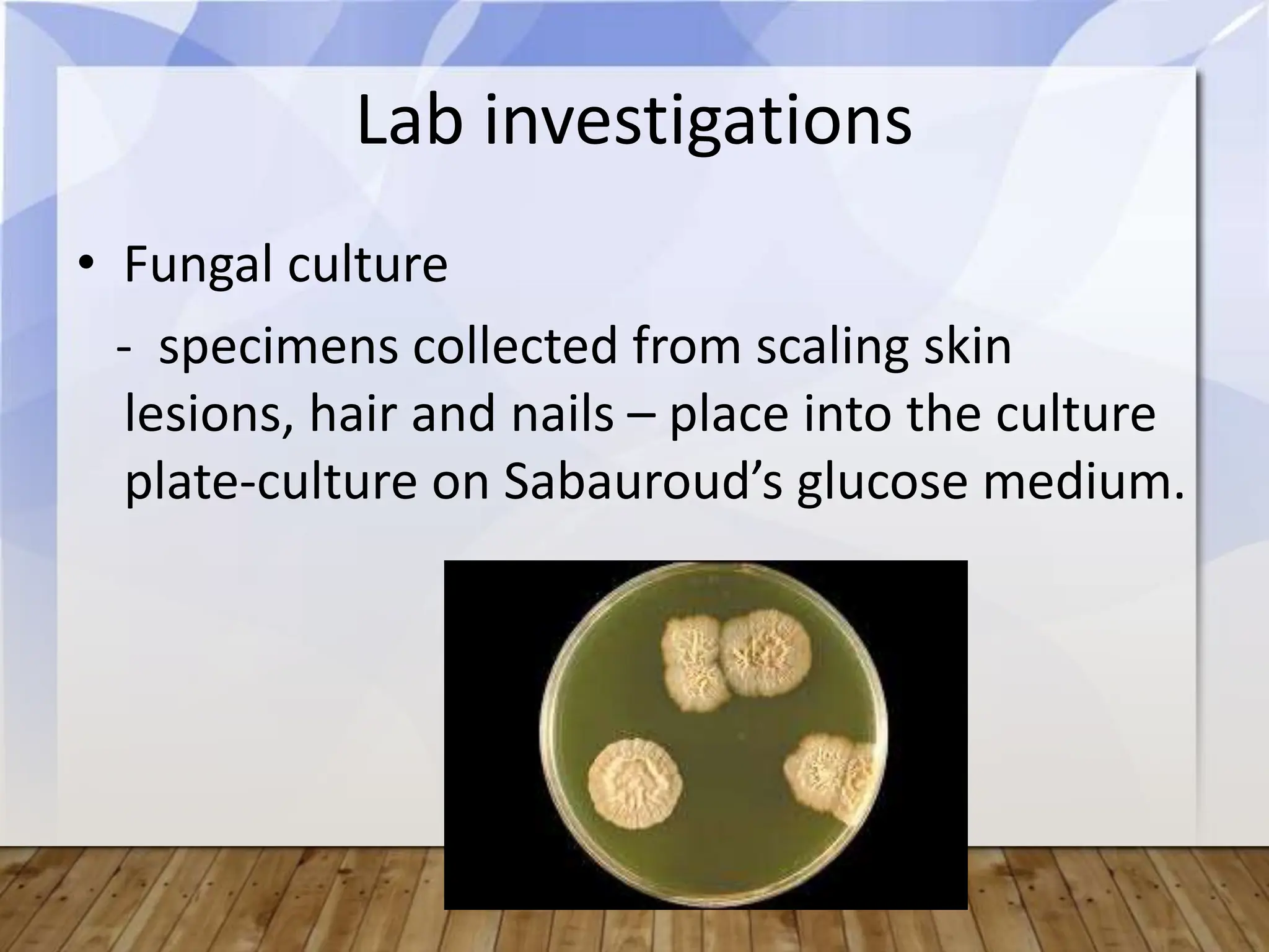 Common Fungal Infections of The Skin.ppt