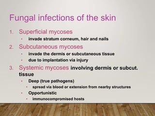Common Fungal Infections of The Skin.ppt