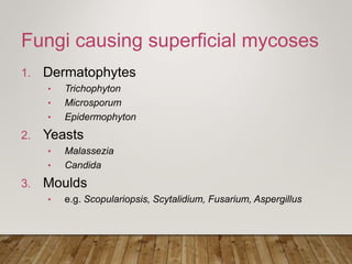Common Fungal Infections of The Skin.ppt