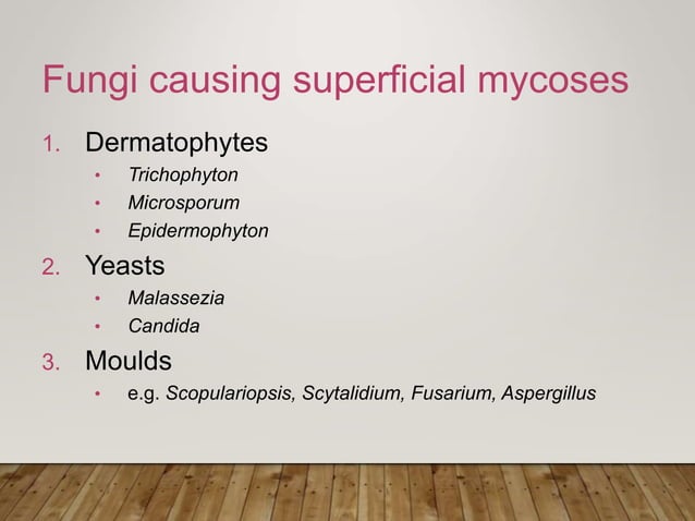 Common Fungal Infections of The Skin.ppt | Foot Health | Diseases and ...