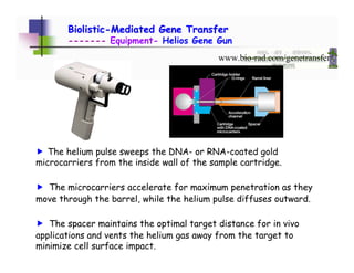 Lesson no: 6 Gene gun or biolistic gun.pdf