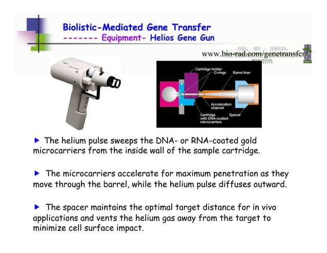 Lesson no: 6 Gene gun or biolistic gun.pdf