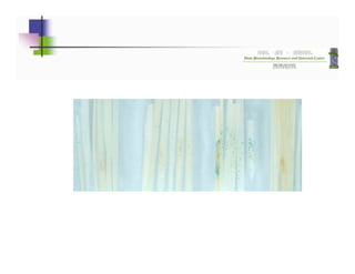 Lesson no: 6 Gene gun or biolistic gun.pdf