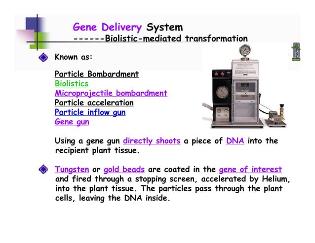 Lesson no: 6 Gene gun or biolistic gun.pdf