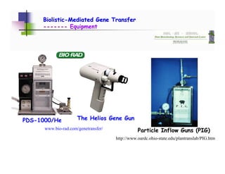 Lesson no: 6 Gene gun or biolistic gun.pdf