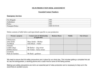 L6g film production risk assessment form (example and template) | DOC