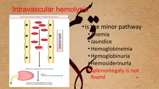 L6 hemolysis and hs student | PPT