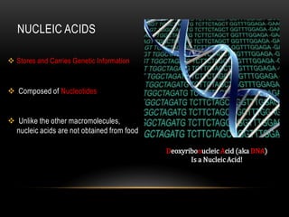 L6 Macromolecules lesson 6 for stems student | PPT