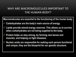 L6 Macromolecules lesson 6 for stems student | PDF