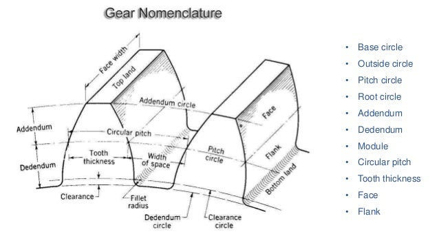 L6 measurement of gear tooth