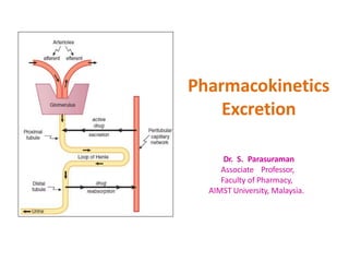 PK - Excretion.pptx