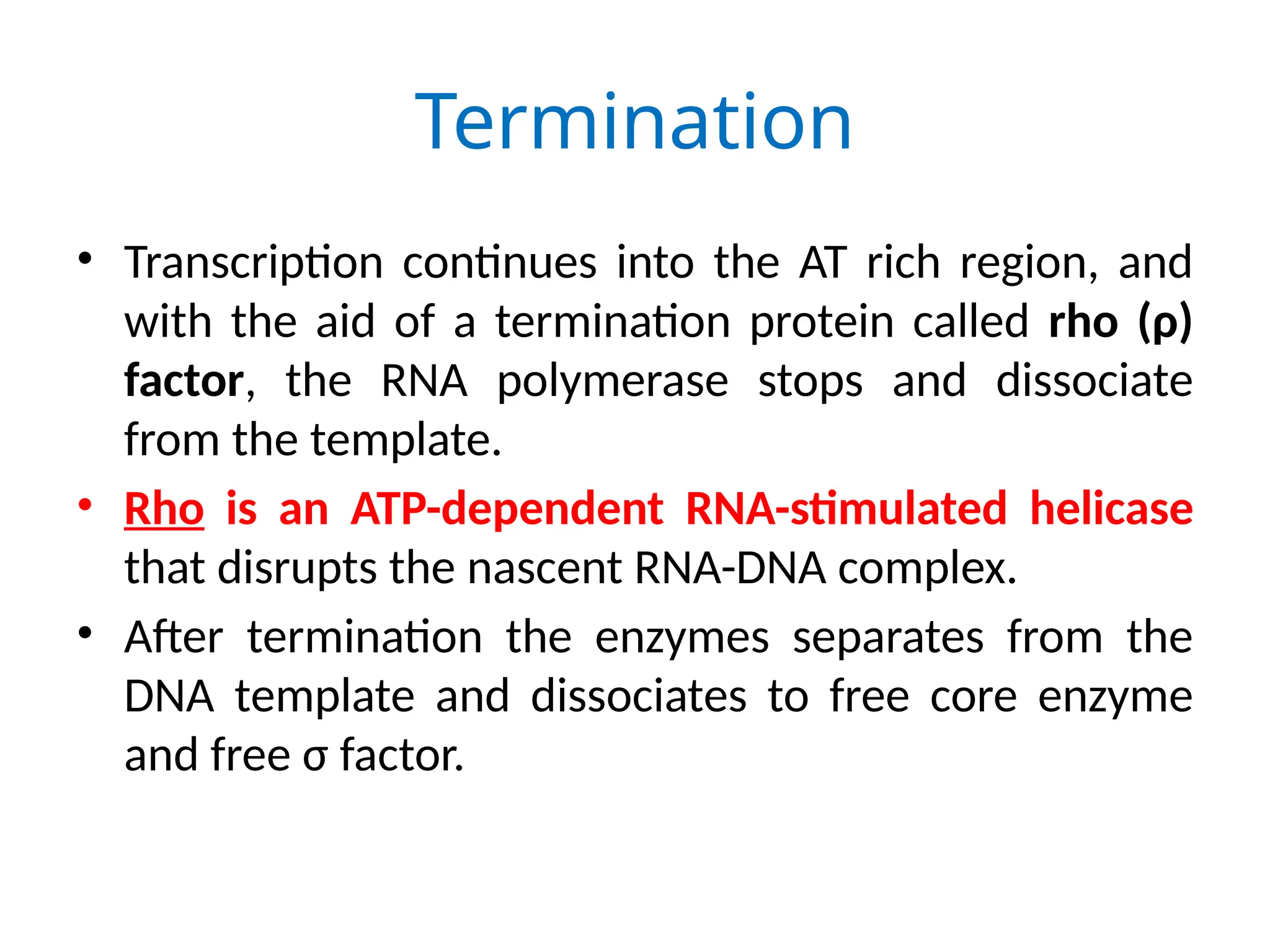 L6 Transcription and RNA synthesisq.pptx | Genetics | Science