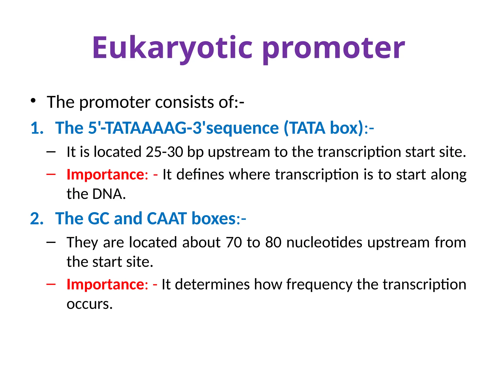 L6 Transcription and RNA synthesisq.pptx | Genetics | Science