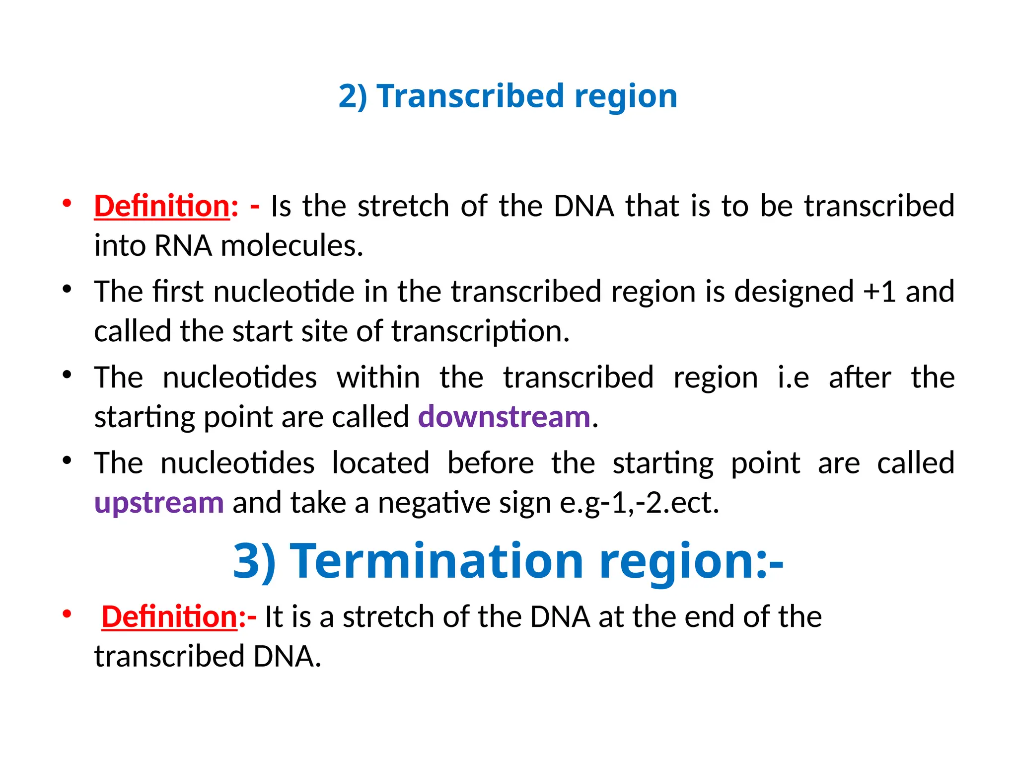 L6 Transcription and RNA synthesisq.pptx | Genetics | Science