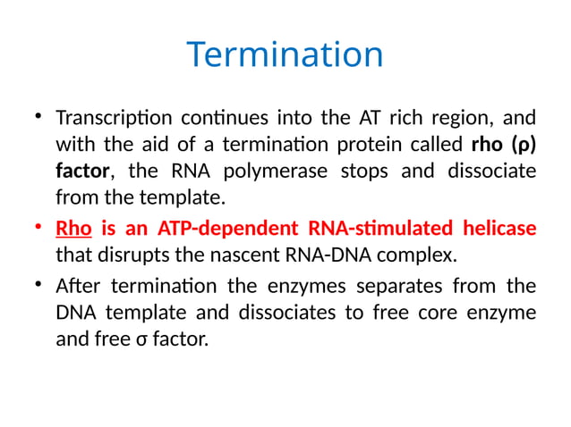 L6 Transcription and RNA synthesisq.pptx