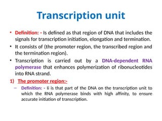 L6 Transcription and RNA synthesisq.pptx