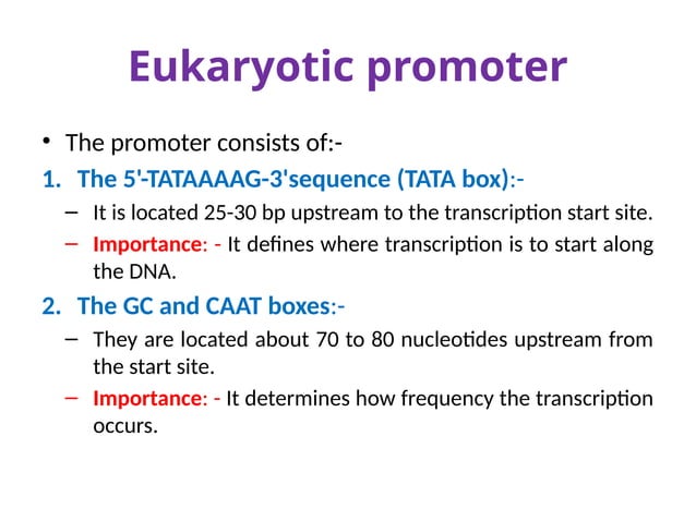 L6 Transcription and RNA synthesisq.pptx