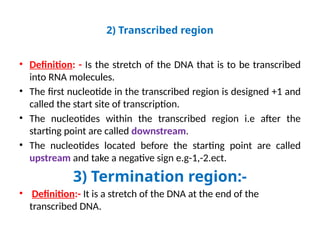 L6 Transcription and RNA synthesisq.pptx | Genetics | Science