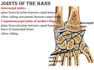 L6 WRIST AND JOINTS OF THE HAND .pptx Antony | PPT