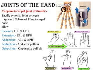 L6 WRIST AND JOINTS OF THE HAND .pptx Antony | PPT