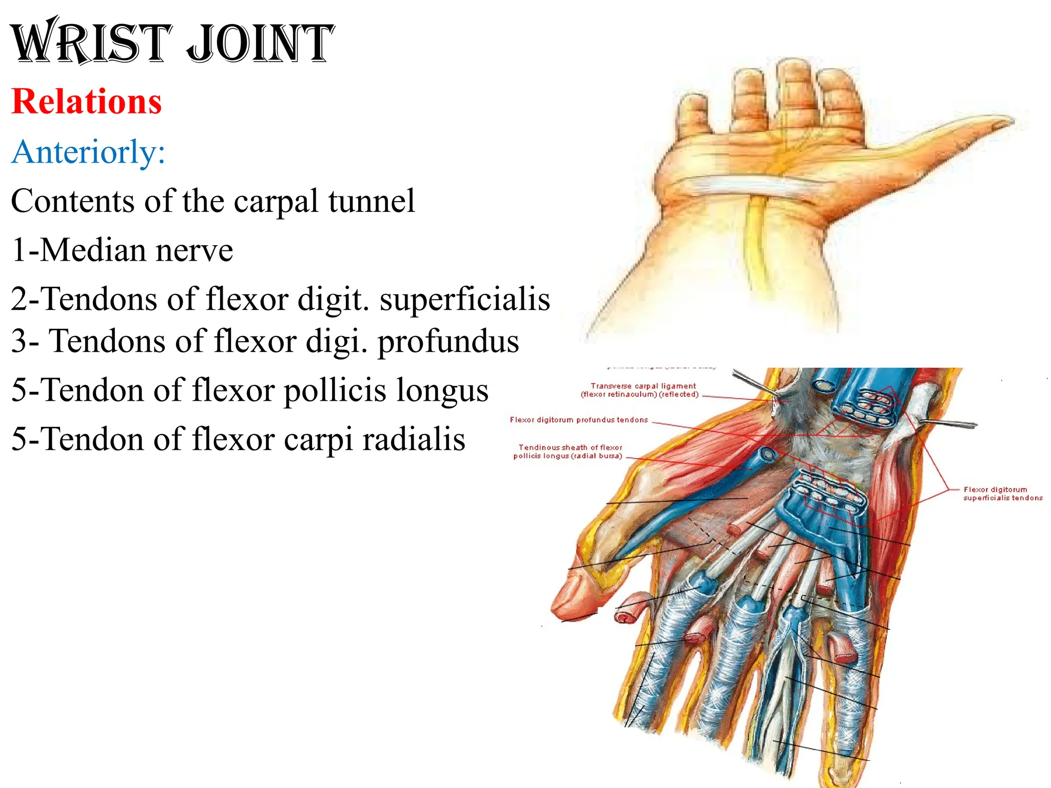 L6 WRIST AND JOINTS OF THE HAND .pptx anatomy | PPT