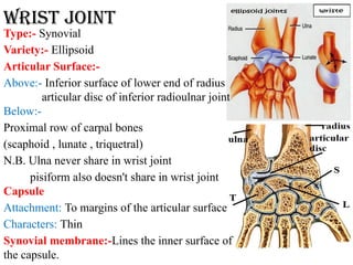 L6 WRIST AND JOINTS OF THE HAND .pptx anatomy | PPTX
