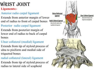 L6 WRIST AND JOINTS OF THE HAND .pptx anatomy | PPTX