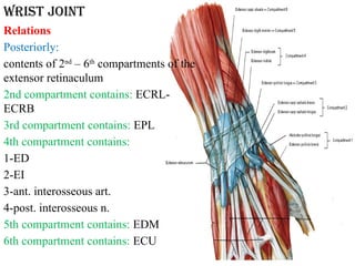 L6 WRIST AND JOINTS OF THE HAND .pptx anatomy | PPTX
