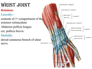 L6 WRIST AND JOINTS OF THE HAND .pptx anatomy | PPTX