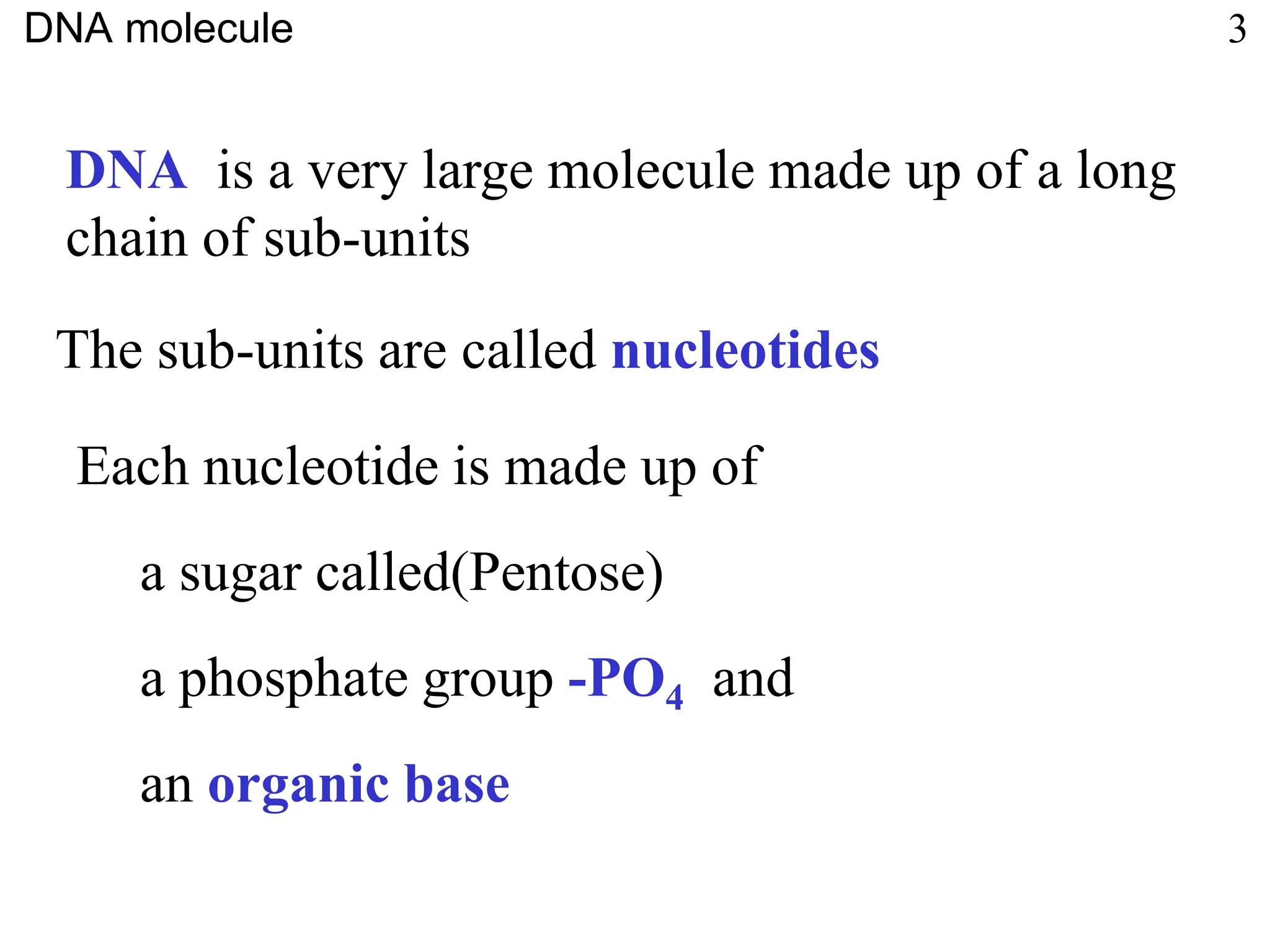 L7. Nucleic Acids.ppt