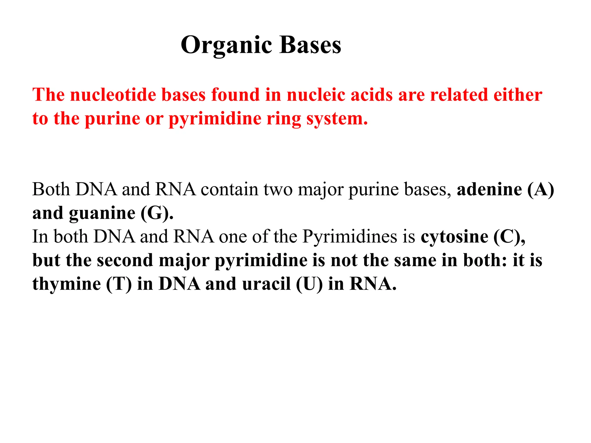 L7. Nucleic Acids.ppt