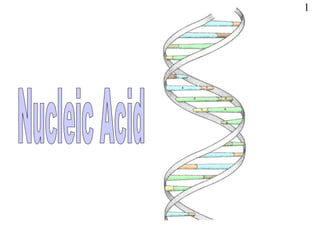 L7. Nucleic Acids.ppt