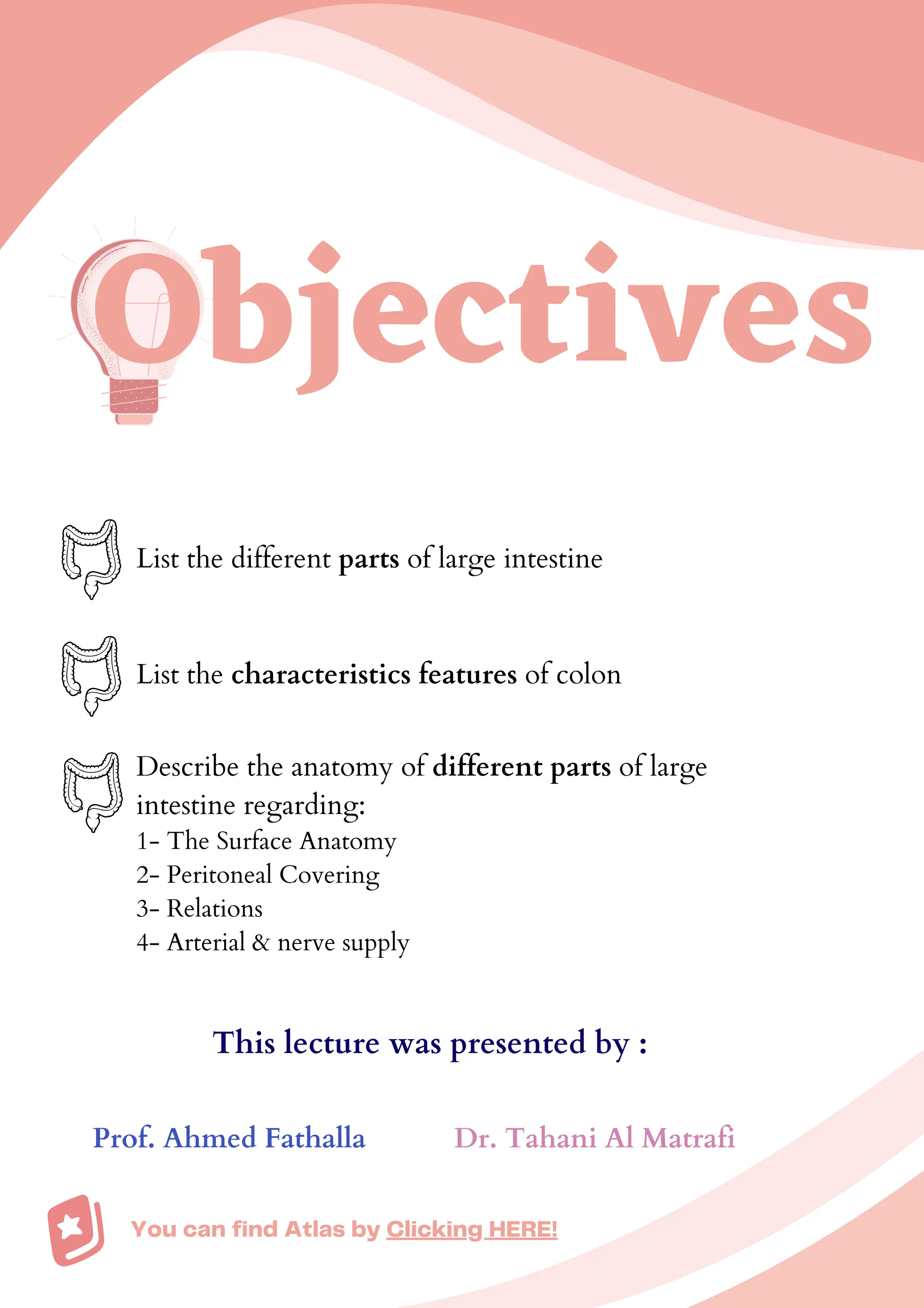 L7. Anatomy of the Large intestines.pdf