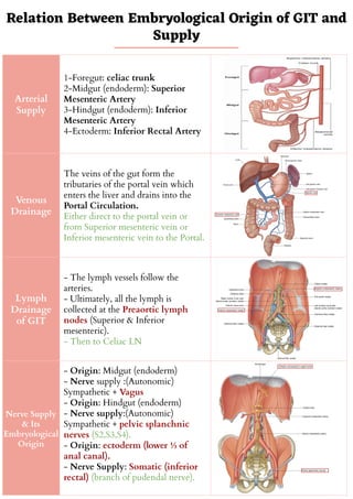 L7. Anatomy of the Large intestines.pdf