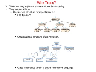 Introduction To Binary Search Trees .ppt