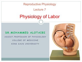 L7-Physiology of labor.pdf lecture notes | PDF